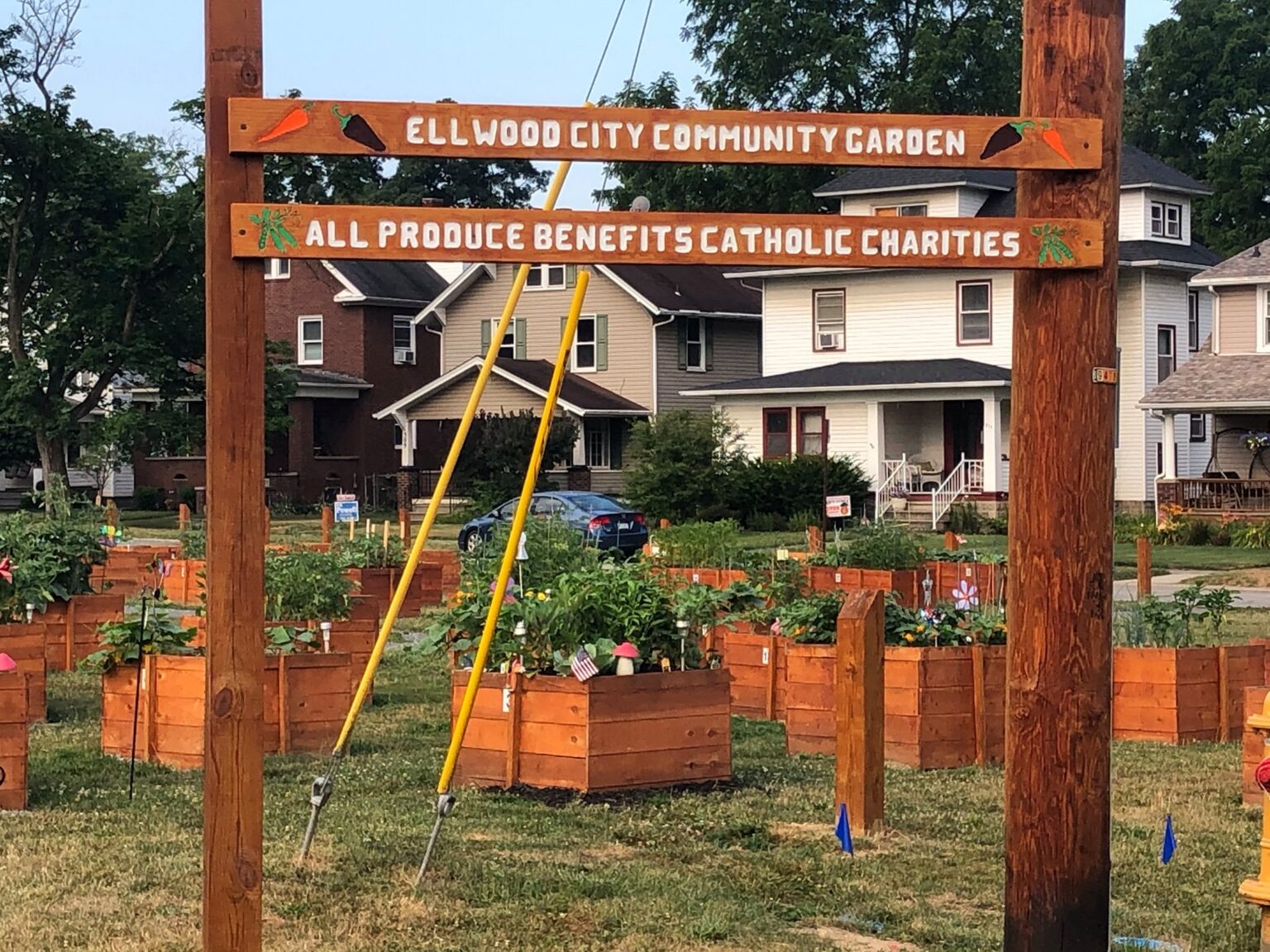 REMINDER: Community Garden Poster Contest Deadline Friday – Ellwood ...
